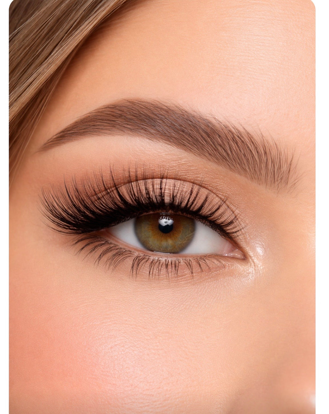 Simply Lashes